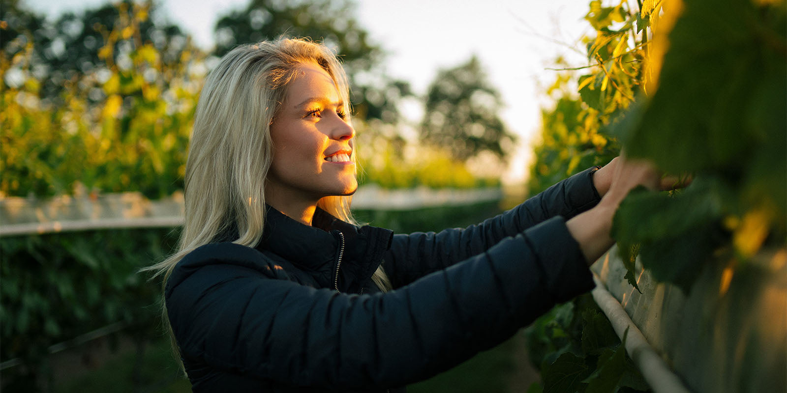 Weingut Osterloh – osterloh-weine